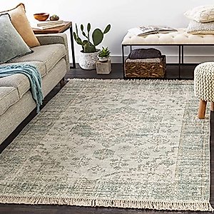 Hauteloom Undy Hand Woven Traditional Vintage Area Rug for Living Room - Bohemian Neutral Color Medallion Hand Made Carpet with Tassel - Cotton Natural Fiber - Light Green, Sage, Grey - 2'3" x 4'