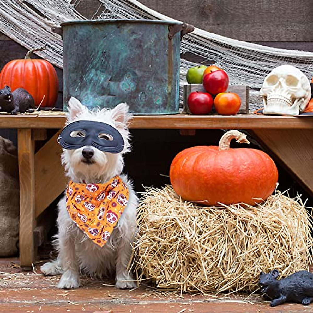 2Pcs Halloween Dog Bandanas,Pet Holiday Pumpkin Ghost Themed Pattern Bandanas,Scarf Triangle Bib Neckerchief Set for Dogs and Cats Costume Accessories