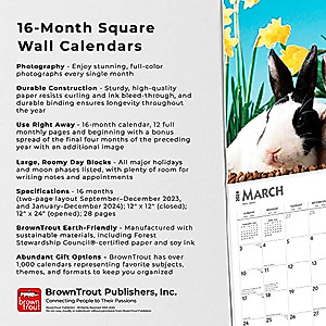 Honey Bunny | 2024 12 x 24 Inch Monthly Square Wall Calendar | BrownTrout | Domestic Small Cute Animals