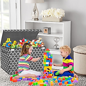 homyfort Toy Chest Box for Boys, Girls, Kids, Large Collapsible Storage Bins Container with Flip-Top Lid & Divider for Nursery, Playroom, Closet, Stuffed Animal, Sturdy Home Organization, Grey