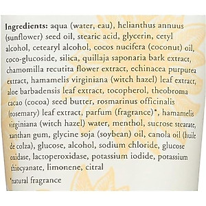 Burt's Bees Soap Bark & Chamomile Deep Cleansing Cream, 6 Oz