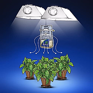 Exhale Homegrown CO2 365 - Self-Activated Bag with Hanger & Twin Canaries Chart for Grow Rooms & Tents - Great for Indoor Grow Rooms - CO2 for Grow Tents - 4lbs