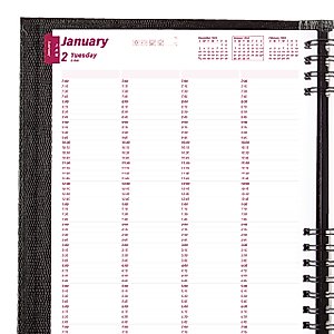 Brownline 2024 CoilPro Daily Professional Planner, Four-Person Appointment Book, 12 Months, January to December, Twin-Wire Binding, 11" x 8.5", Black (CB960C.BLK-24)