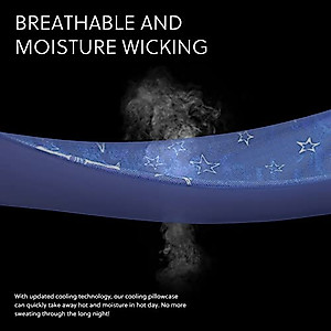 Vamcheer Cooling Pillowcase Queen Size - Double Side Q-Max 0.45 Chill Pillow Covers for Hot Sleeper, 2 Pack Breathable Cold Pillow Case with Hidden Zipper, Anti-Static, Skin-Friendly (20"x30", Blue)