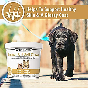 Vet Classics Salmon Oil Pet Supplement for Healthy Skin, Glossy Coats – Dog Coat Supplement, Cat Skin Supplement – Includes Omega-3, 6, 9, Source of DHA, EPA – Soft Chews 90 Ct.