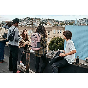 Dakine Classic Hip Pack - Begonia