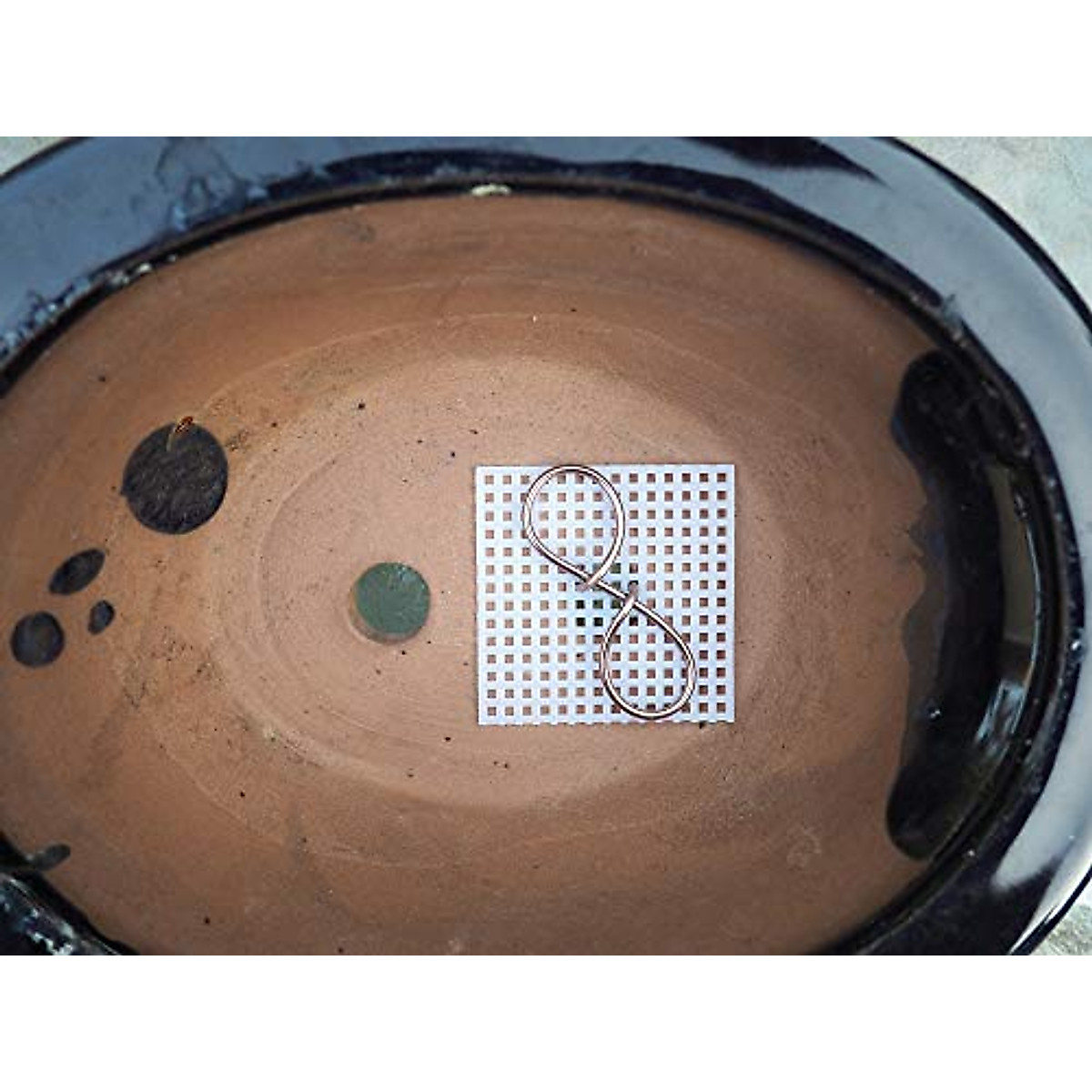 Grow A Bonsai Tree 50 Count 2x2 Inch Rigid Bonsai and Flower Pot Drainage Mesh Screens