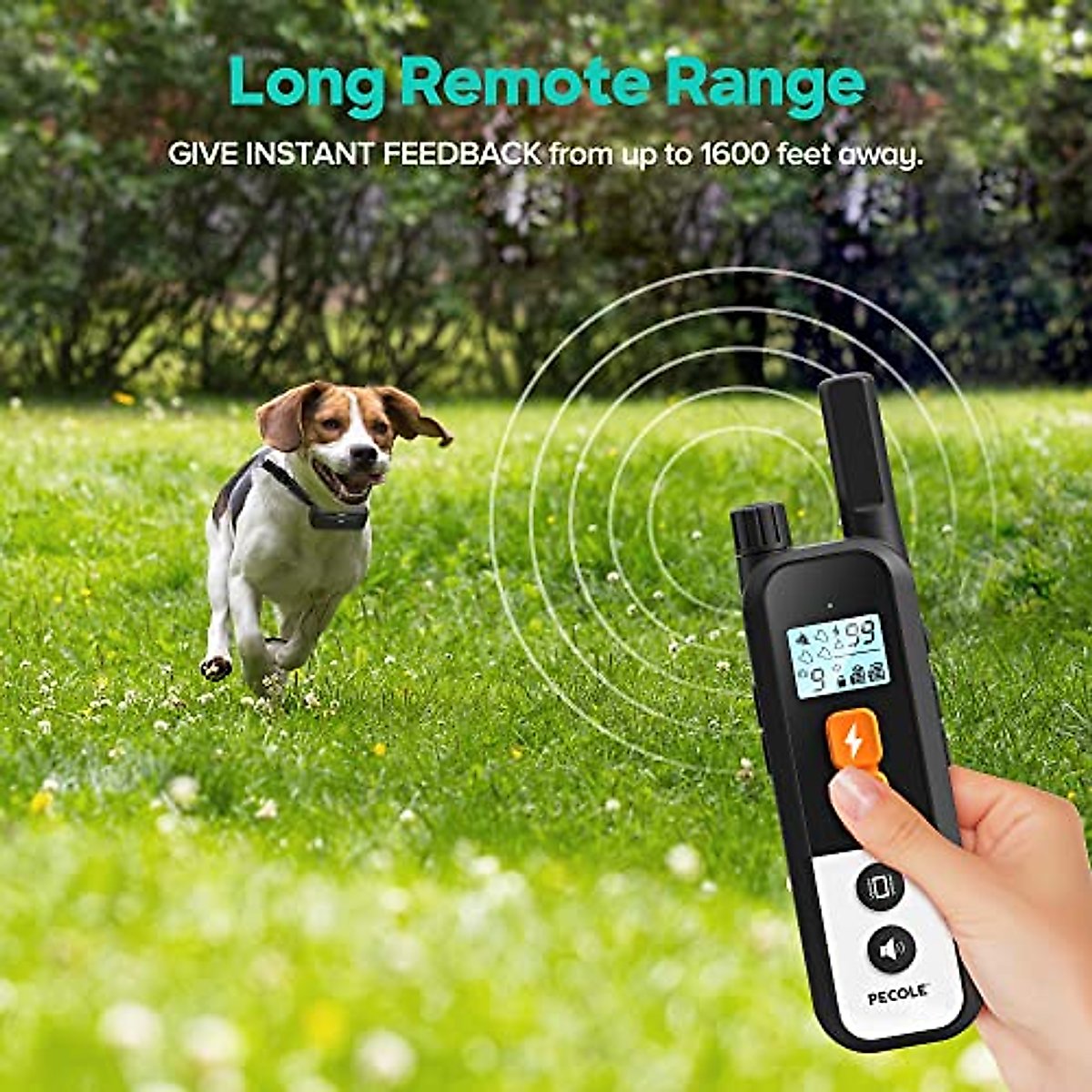 Dog Training Collar with Remote, Shock Collar for Dogs with Vibration and Beep Modes, Rechargeable Transmitter with Security Lock, Waterproof Collar, 99 Adjustable Levels – All Breeds, Sizes