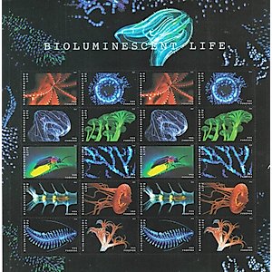 Forever Stamp: Bioluminescence (1 Sheets (20 Stamps))