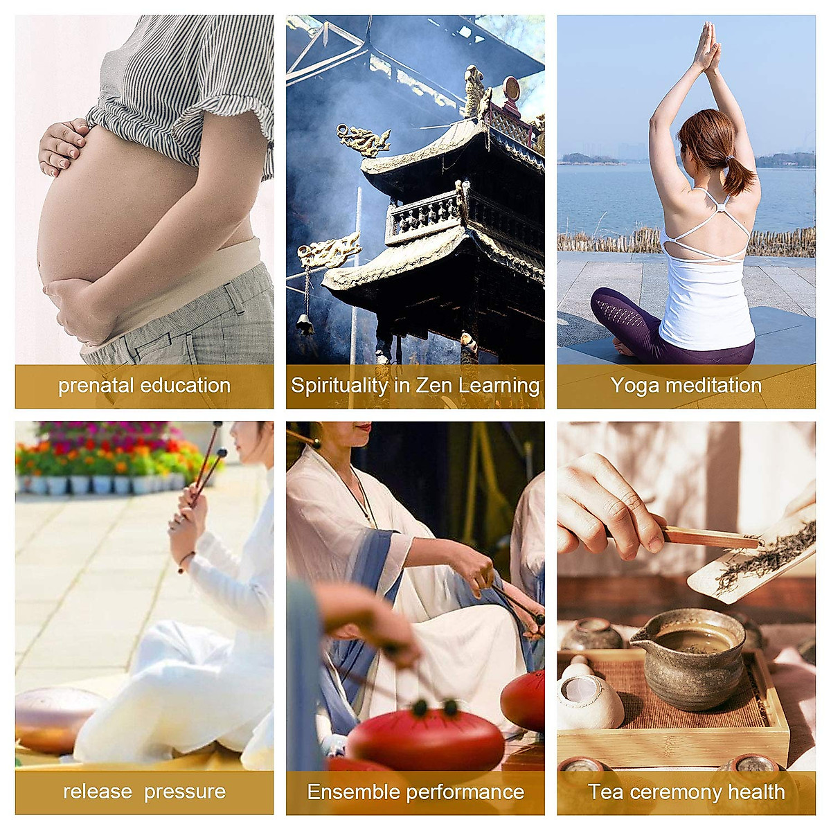 AS TEMAN HANDPAN,Steel Tongue Drum,10 inch 11Notes Tongue Drum，Steel Drums Percussion Instrument (matte gold)