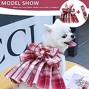 Dog Clothes for Small Dogs Girl, Plaid Dog Dresses Dog Dress Harness with Leash Set,Cute Dog Clothes for Cats Bunny Chihuahua Yorkie Pet Outfits (Small, Red)