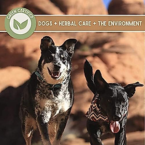 Farm Dog Naturals - Salvation Skin Care & Crusty Nose Balm for Dogs, 1 Ounce