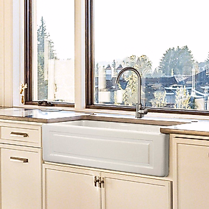 Transolid T3510-LS Kitchen Faucet, Luxe Stainless