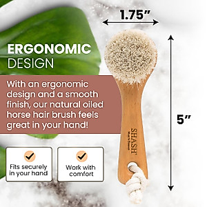 Since 1869 Hand Made in Germany - Sustainable Exfoliating Face Brush, Scrub Cleansing Brush, Exfoliates Skin to Help Reduce Flaking, Fine Lines, Supports Glowing Complexion (Soft Goat Bristle)