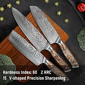 KEIZOKU Damascus Chef Knife, 10Cr15MOV Japanese Kitchen Knives Set with Full Tang G10 Handle, Professional Chef Knife for Kitchen, Sheath & Gift Box (8 Inch Chef Knife)
