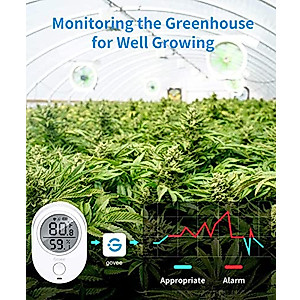 Govee WiFi Thermometer Hygrometer H5051, Bluetooth Indoor Temperature Humidity Monitor with App Notification Alert, Smart Humidity Sensor for Greenhouse Wine Cellar, 2 Years Free Data Storage Export