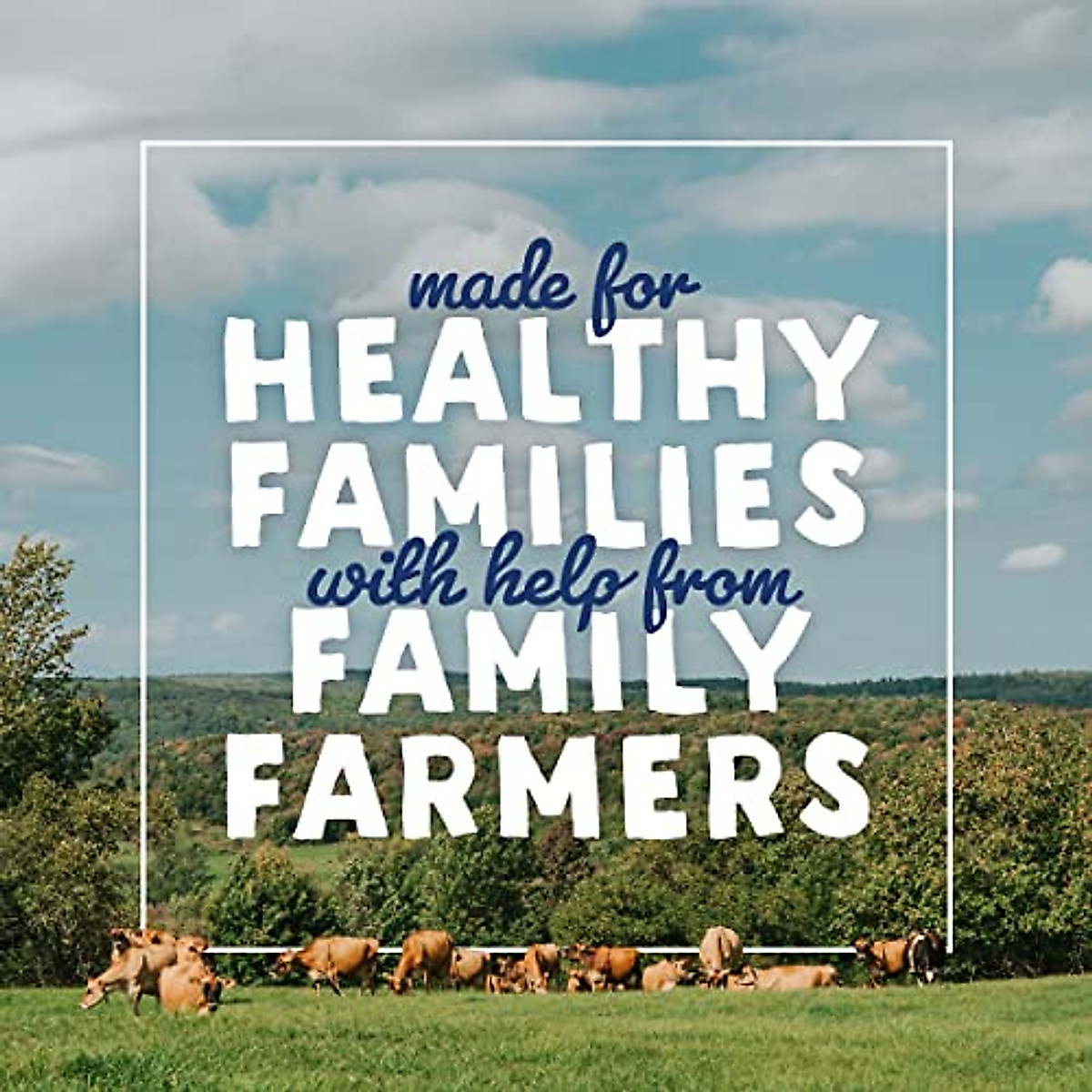 Stonyfield® Organic 100% Grassfed Vanilla Greek Whole Milk Yogurt 24 oz. Tub