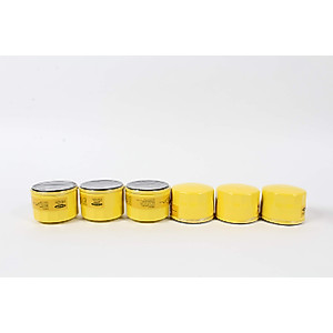 6 Pack Oil Filter Fits B&S 696854 795890 842921 695396 492932