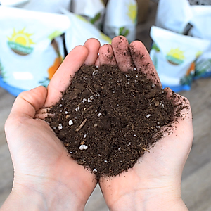 Bird of Paradise Potting Soil Mix (8 Quarts), All Natural Mix for Indoor/Outdoor Container Tropical Plants