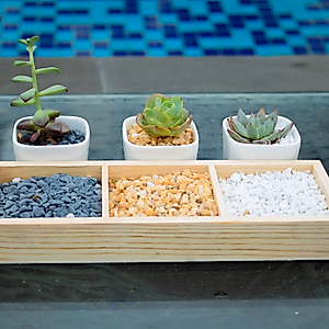 Anothera 6mm-8mm Succulent and Cactus Bonsai DIY Rocks, White Onyx, Gravel for Terrarium, Fairy Gardening, Top Dressing （3LB）