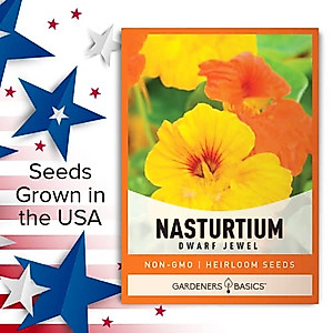 Nasturtium Flower Seeds for Planting (Dwarf Jewel) - Edible Flower Open Pollinated, Non-GMO Annual Flower Seed for Flower Gardens by Gardeners Basics