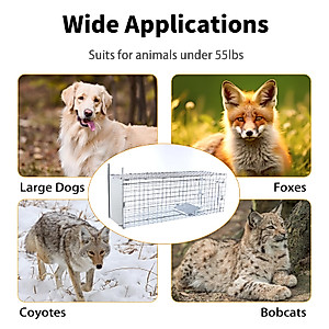 57" Large Humane Live Animal Trap,Collapsible Large Animal Catcher Cage,Cage Traps for Large Dogs up to 55 pounds,Foxes,Coyotes,Bobcat,Similar Sized Animals