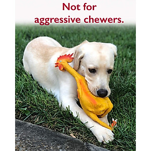Rubber Chicken Dog Toys - Natural Rubber (Latex) - Lead-Free Chemical-Free - Complies with Same Safety Standards as Baby Toys - Soft Unstuffed Squeaky (Extra-Large)