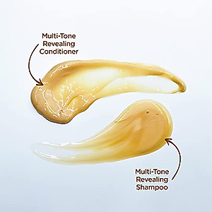 John Frieda Brilliant Brunette, Color Boosting Shampoo, Enhances and Protects Multi-Dimensional Tones, With Sweet Almond Oil to Rehydrate and Replenish Dry Hair, 8.45 Oz