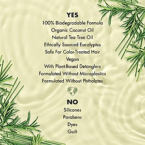 Love Beauty and Planet Radical Refresher 100% Biodegradable Shampoo Detoxifying & Purifying Tea Tree Oil & Eucalyptus Vegan Shampoo 0% Sulfates, Silicones, Parabens, and Dyes 13.5 oz