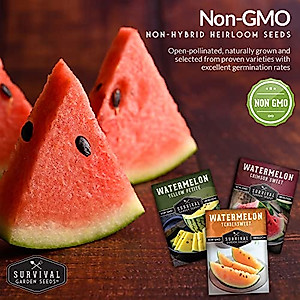 Survival Garden Seeds Tri-Color Watermelon Collection Seed Vault - Non-GMO Heirloom Mix for Planting Juicy Watermelons - Yellow Petite, Crimson Sweet (Red), & Tendersweet Orange Varieties