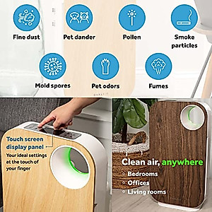 OVAL AIR AIR1000A 3-Stage H13 True HEPA 5-in-1 Air Purifier For Allergens,Dust,Pets,Allergies,Odor,Smoke,Pollen, Rooms up to 600 sq. ft., White, 13.8" X 7.5" X 25"