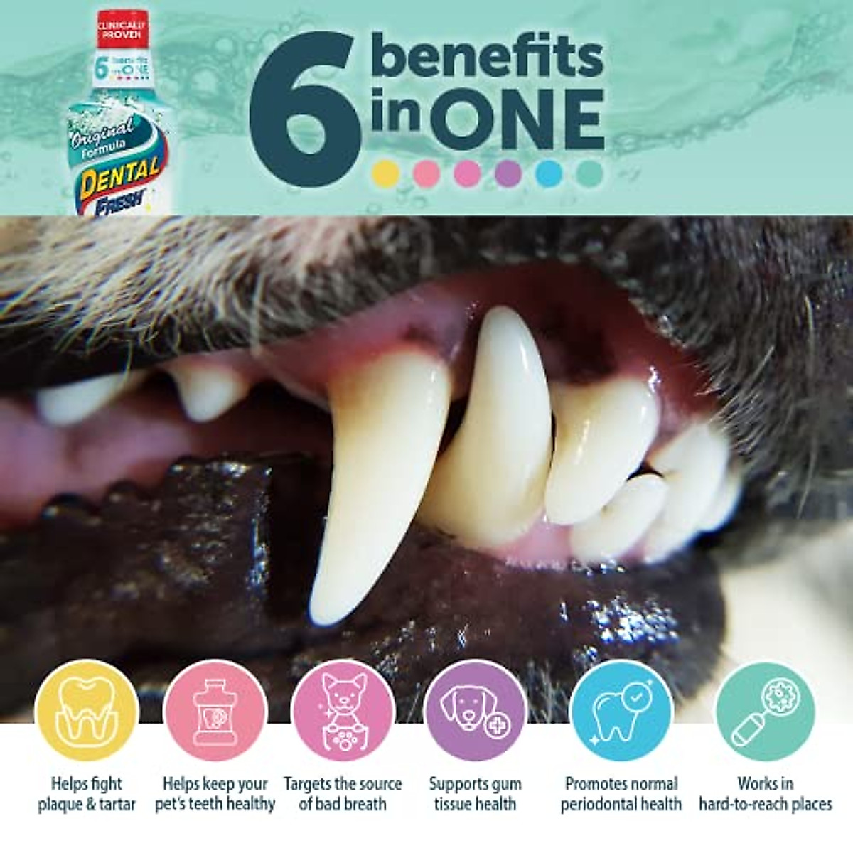 Dental Fresh Water Additive for Dogs, Original Formula, 17oz – Dog Breath Freshener and Dog Teeth Cleaning for Dog Dental Care– Add to Water