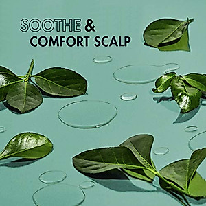 SheaMoisture Scalp Soother Oil Serum for Wig and Weave Tea Tree and Borage Seed Oil Paraben Free Scalp Treatment, 2 Ounce