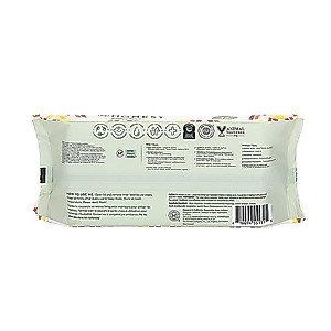 The Honest Company Clean Conscious Multi-Use Wipes | Hypoallergenic + Unscented for Sensitive Skin | Over 99% Water, Compostable, Plant Based, Baby Wipes | Geo Mood, 60 Count