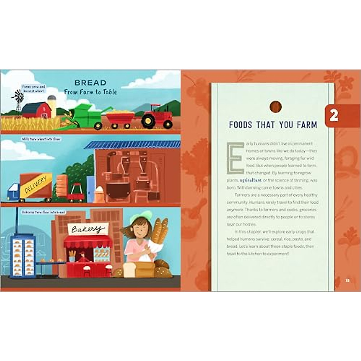 Food Anatomy Activities for Kids: Fun, Hands-On Learning