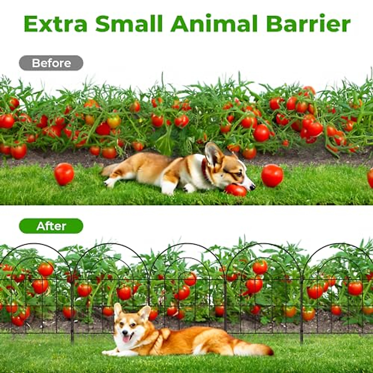 inpowerus Decorative Garden Fence 10 Panels Metal Rustproof No Dig Fencing Easy Use Animal Barrier for Small Dogs Flower Bed Yard Plant Decor, 24in(H) x 10ft(L) Arched