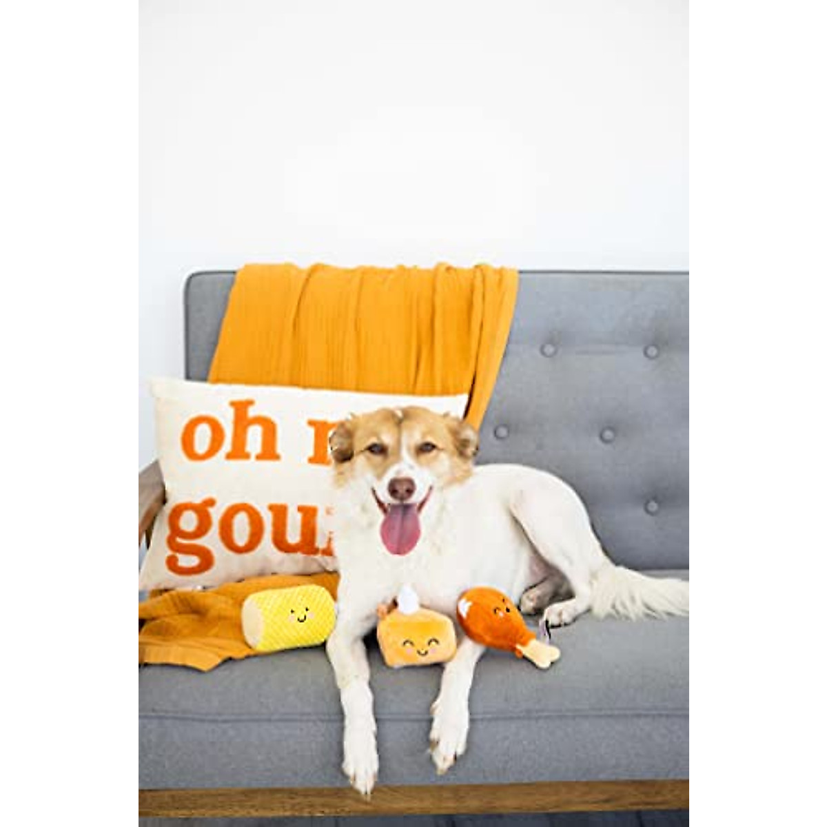 Pearhead Thanksgiving Dinner Dog Toys, Set of 3, Plush Dog Toys, Squeaky Dog Toy, Fall Pet Toys