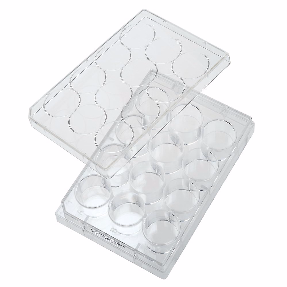 Celltreat 229111 12 Clear Polystyrene Well Tissue Culture Plate with Lid, Sterile, 3.85 cm2 Cell Growth Area, Flat Bottom, Individual Pack (Pack of 50)