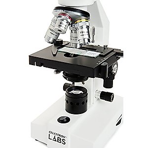 Celestron – Celestron Labs – Binocular Head Compound Microscope – 40-2000x Magnification – Adjustable Mechanical Stage – Includes 2 Eyepieces and 10 Prepared Slides