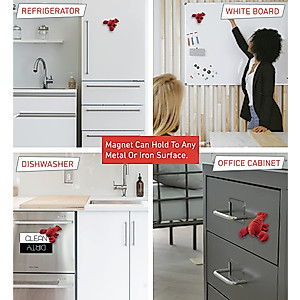 COTA Global Lobster Plush Refrigerator Magnet - Fluffy Red Lobster Stuffed Plush Magnet, Cute Ocean Life Magnet for Kitchen Fridge & Locker, Home Decor & Office Decorative Novelty Accessory - 4 Inch