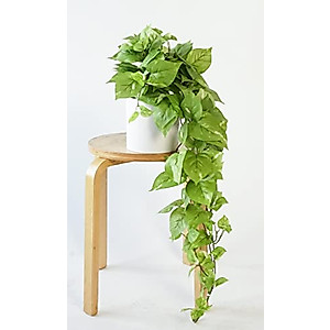 Retrograde 32" Realistic Fake Pothos Ivy Plant Silk Artificial Plant Large (Light Green)