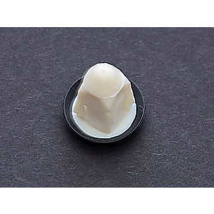 BMW Expanding Nut (x2 inserts) trunk license bracket, rear cargo, exterior trim