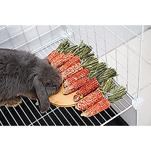 PStarDMoon Natural Guinea Pig Chew Toy, Dried Corn Sticks with Timothy Hay, Molar Toys for Bunnies Rabbits Chinchilla Hamsters Guinea Pigs Gerbils Groundhog Squirrels （5 PCS ）