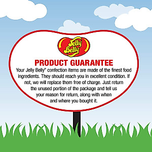 Jelly Belly Draft Beer Can Tin 1.75 Ounces