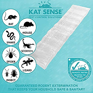 Kat Sense Sticky Rat Traps 'N Mouse Glue Traps That Work for Trapping Snakes Spiders Roaches N Other Rodents, 2 XL Large Heavy Duty Clear Pre Baited Mats, Indoor Outdoor Non Multi Catch Pest Trap