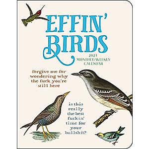 Effin' Birds 12-Month 2023 Monthly/Weekly Planner Calendar