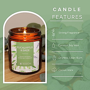 Simply Soson 9 oz Eucalyptus and Sage Scented Candle for Home - Amber Glass Jar - 50 Hour Long Lasting Candles - Jar Candles are The Best Gifts for Birthday, Valentine, Anniversary, Dinner, Parties