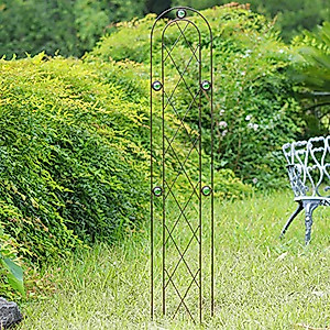 Arcadia Garden Products TR02 Arched Garden Trellis, 5' x 10", Black