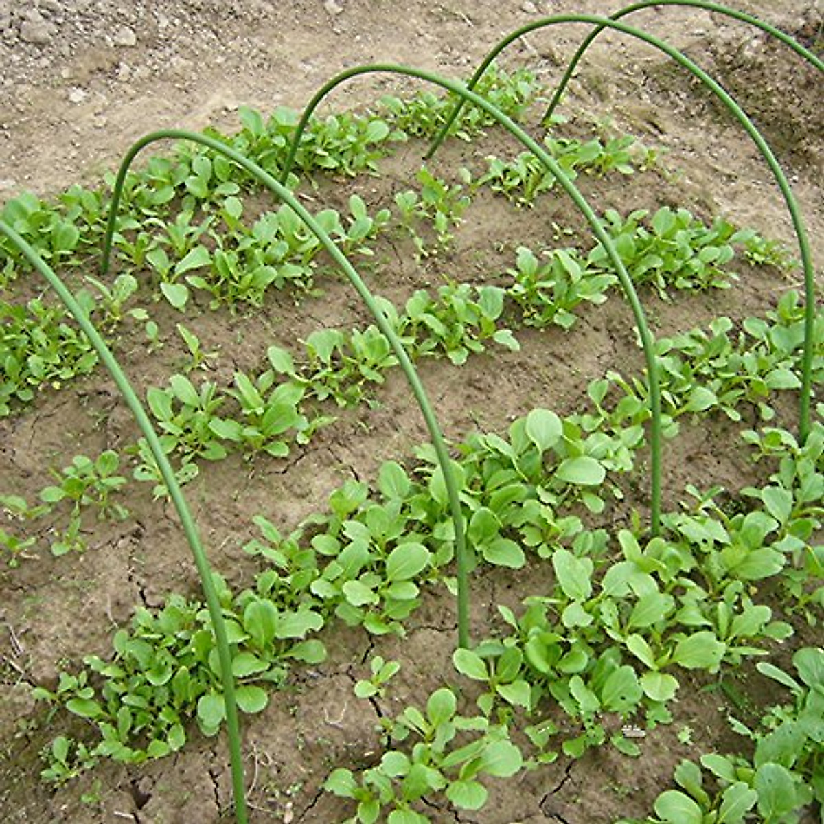 Okngr 6 Pcs Greenhouse Hoops, 4ft Grow Tunnel Hoops, Flexible Long Steel with Plastic Coated Grow Tunnel Garden Hoop for Garden Fabric, Plant Support Garden Stakes