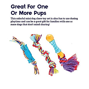 Petstages Orka Mini Dental Dog Chew Toys - 3 Pack